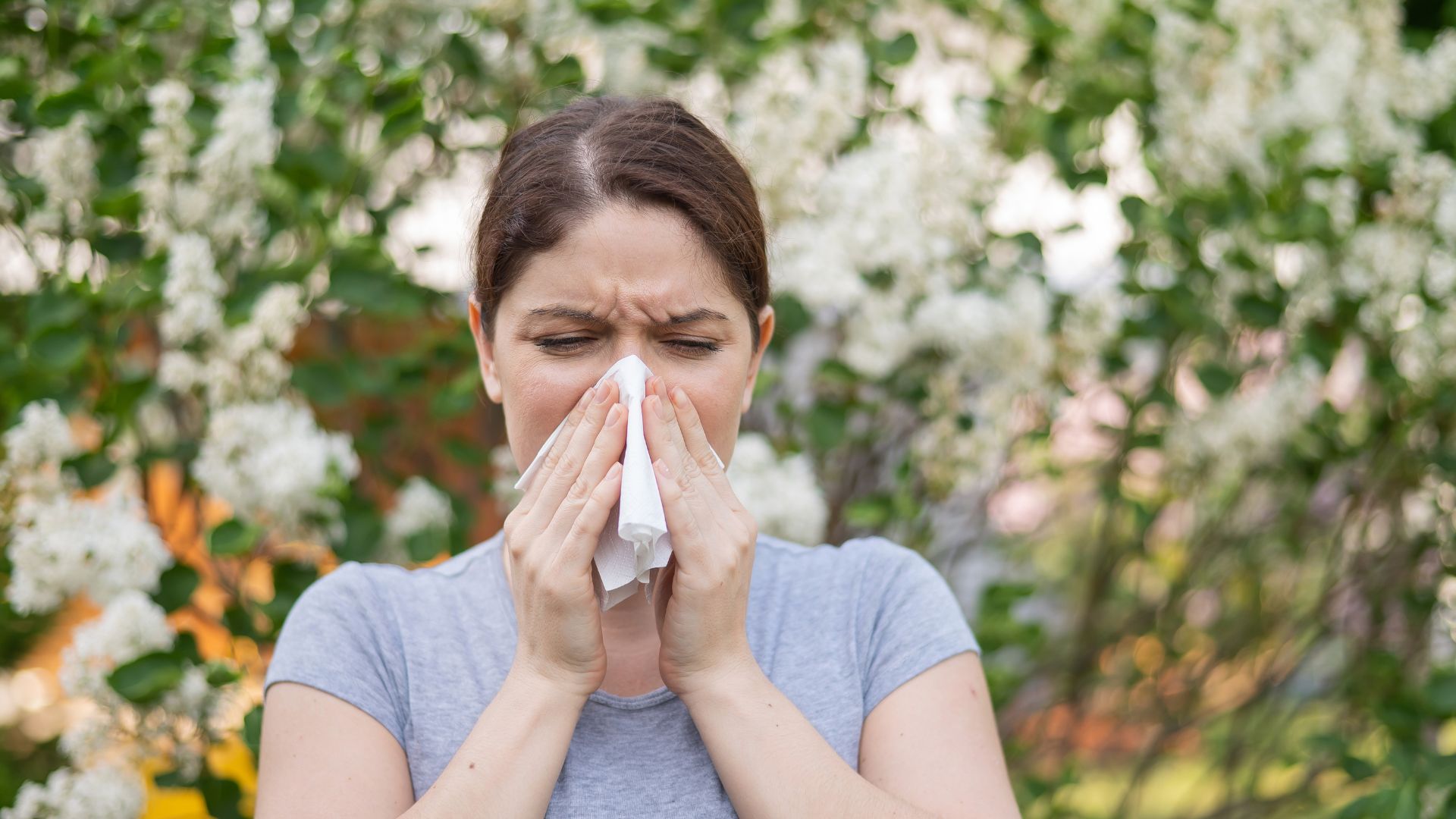 Seasonal Allergies